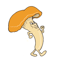 Imagenes Animadas de Setas