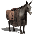 Gifs Animados de Burros